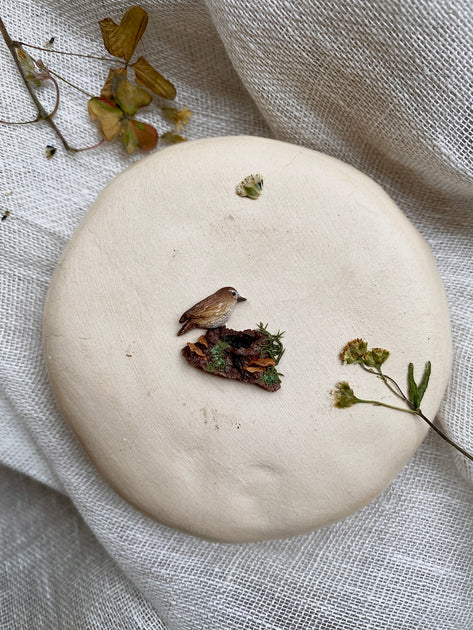 Brosa Pitulice Mica pe Butuc - Inrourat | IARMAROC.com