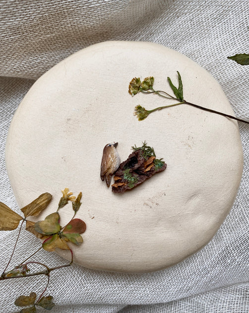 Brosa Pitulice Mica pe Butuc - Inrourat | IARMAROC.com